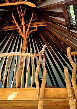 "New Treehouses of the World" by Pete Nolan (2009) | Arthur Magazine